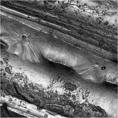Figure 2.1: Height Map (left) and Intensity Map (right)of AM Metal ...